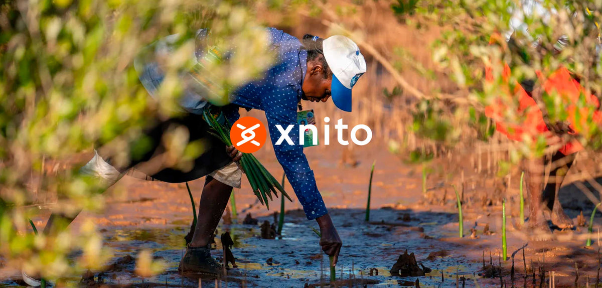 Xnito's Helmets: Safe, Sustainable, and Tree-Planting – XNITO